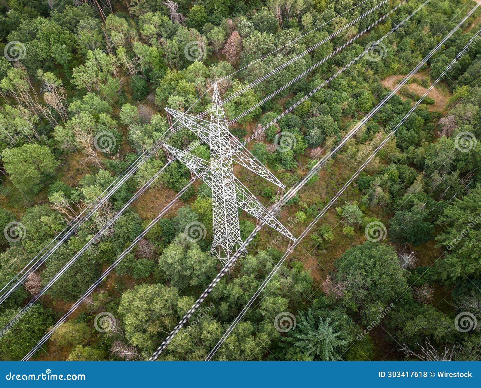 An Overhead View of High Voltage Power Lines, with Trees in the ...