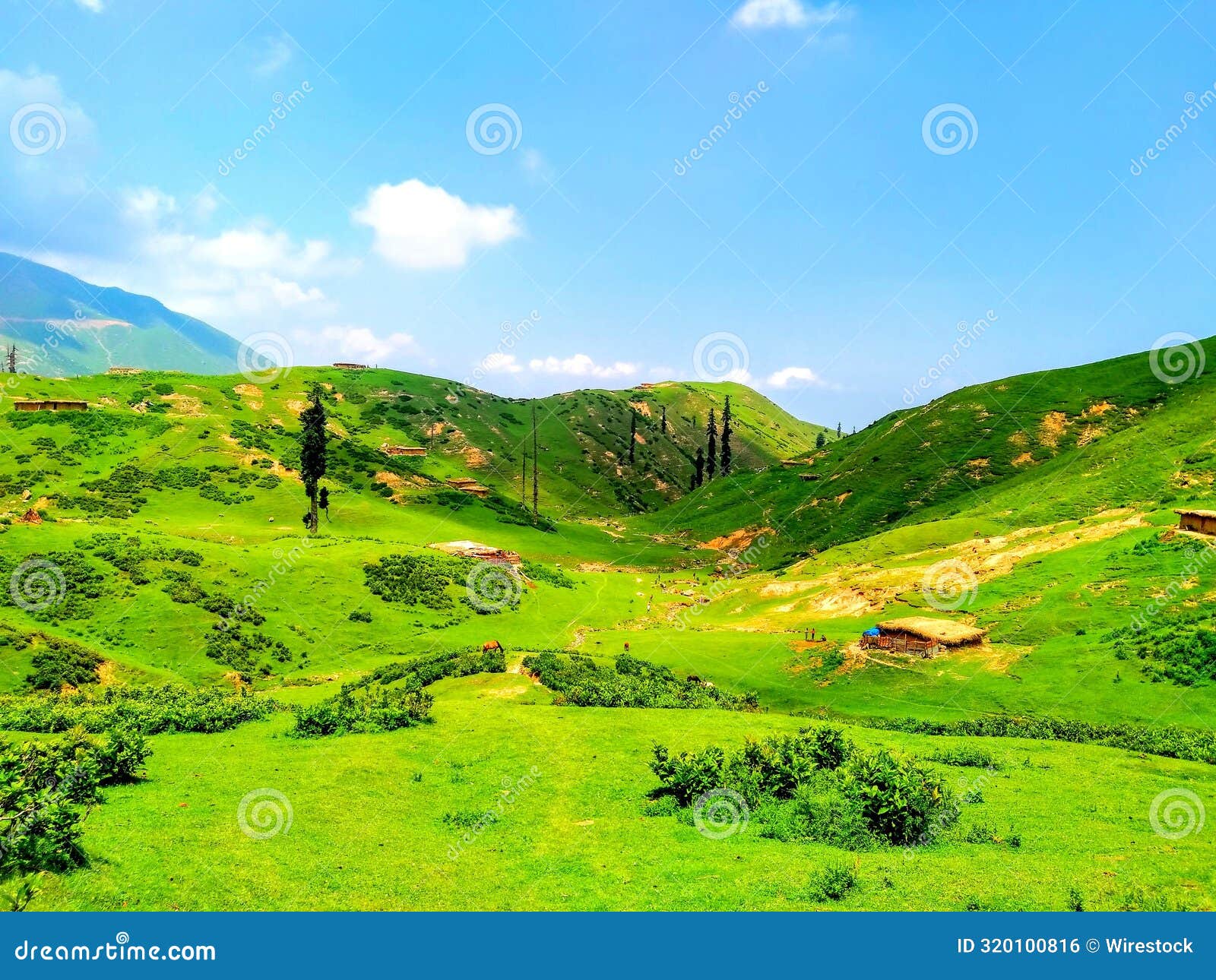 The View from the Top of a Hill with a Forest in Front Stock Photo ...