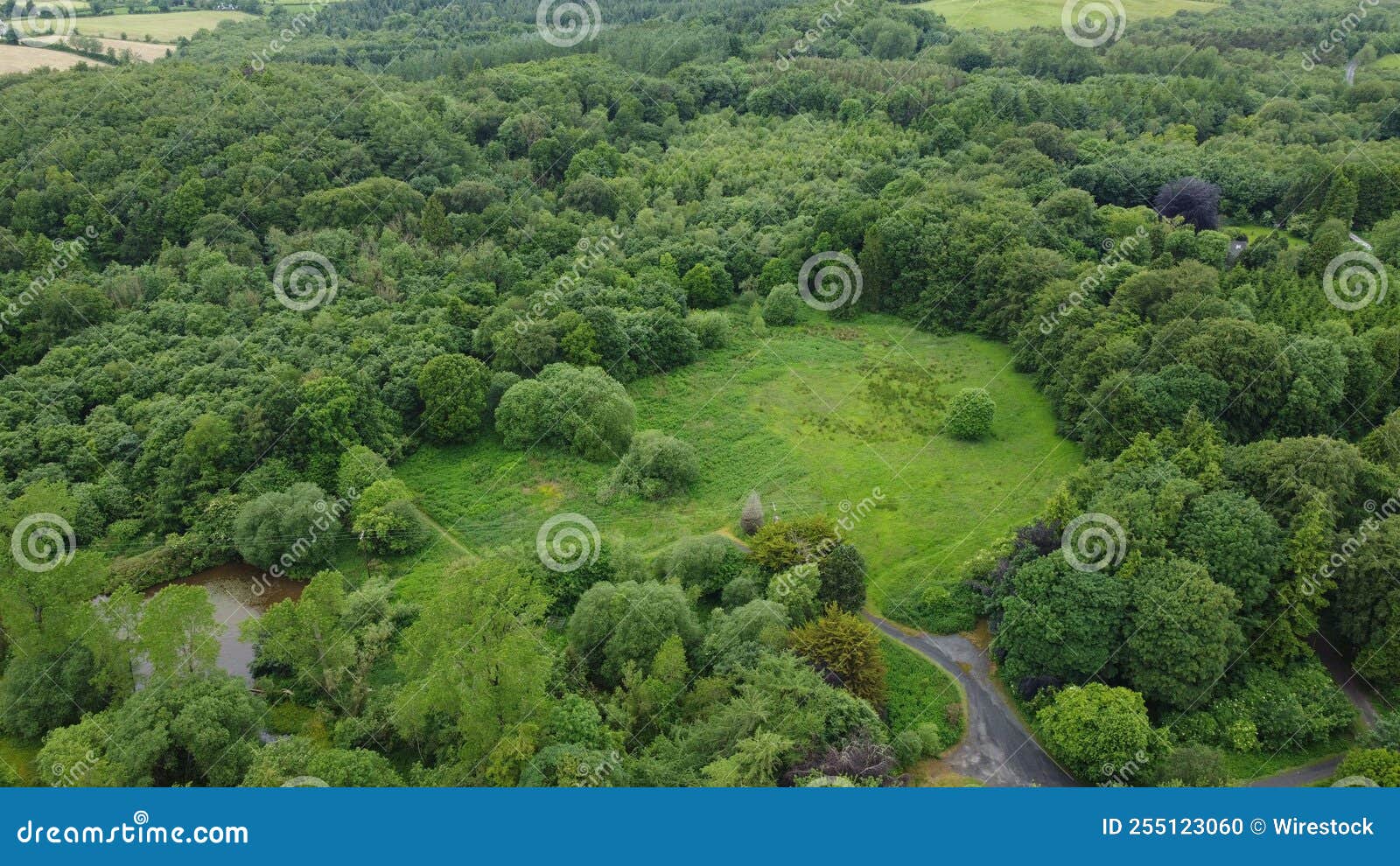 Aerial View of the Irish Woodland. Stock Photo - Image of outdoor ...