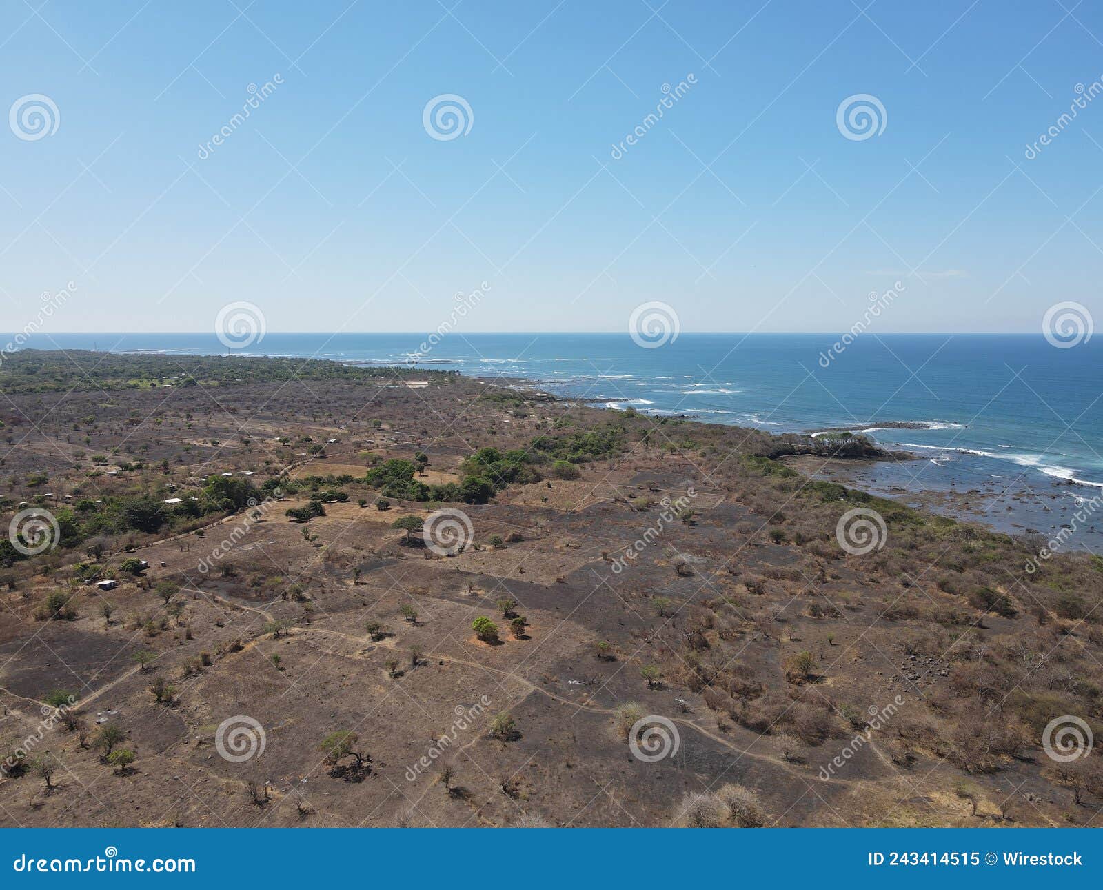Aerial View of a Landscape with Bushes by the Sea Stock Image - Image ...