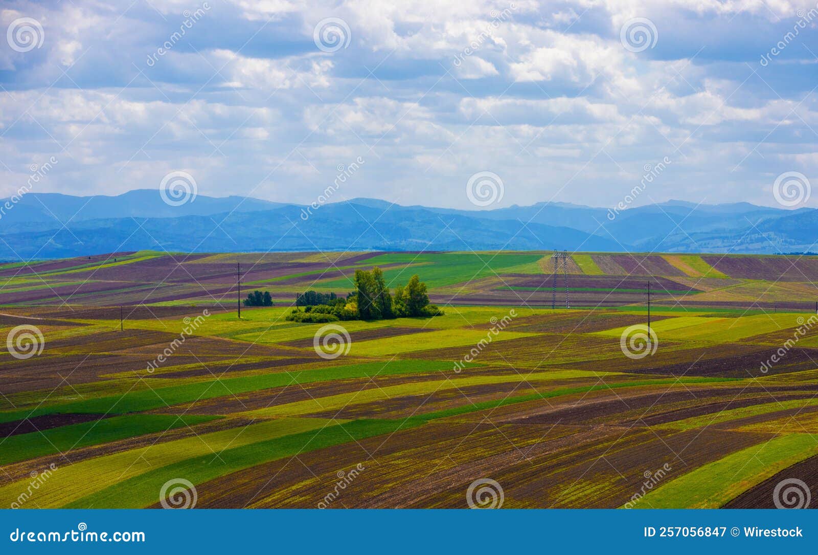 Aerial View of a Landscape with Different Crop Fields Growing on it ...
