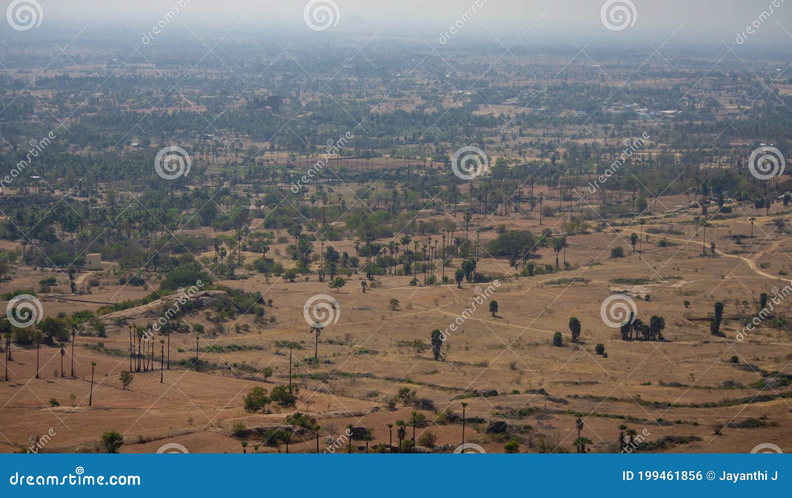 Night Life in a Villagean Aerial View of Landscape of a South Indian ... Night Life in a Villagean Aerial View of Landscape of a South Indian ...