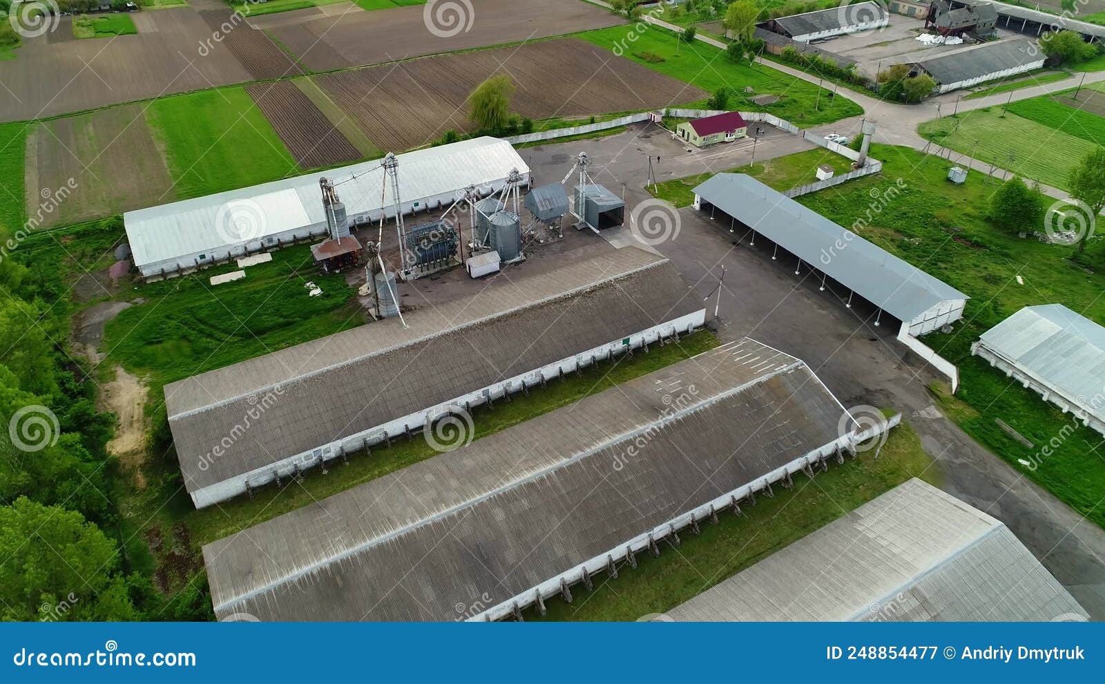 Aerial View of a Large Farm with Cows in the Middle of the Village and ...