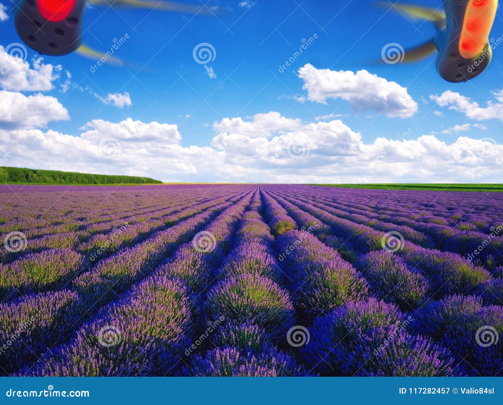 Aerial View of Lavender Field in Provence Stock Image - Image of drone ...