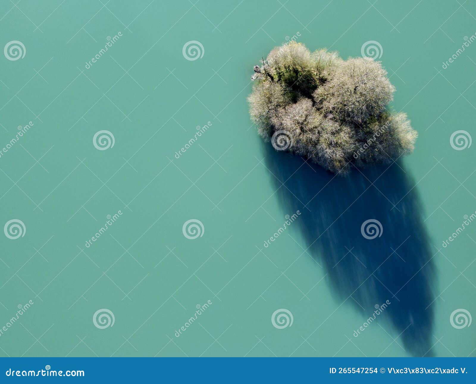 Aerial View of a Leafless Tree in a Turquoise Water Lagoon Stock Photo ...