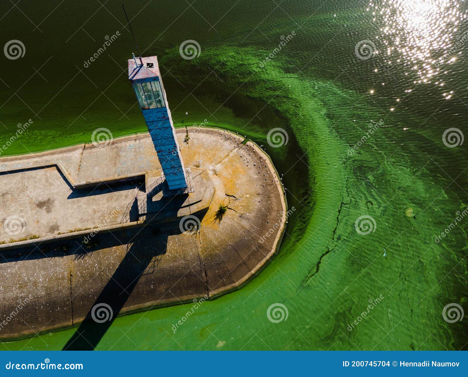 Aerial View of the Lighthouse Surrounded by Algal Bloom Stock Photo ... Aerial View of the Lighthouse Surrounded by Algal Bloom Stock Photo ...