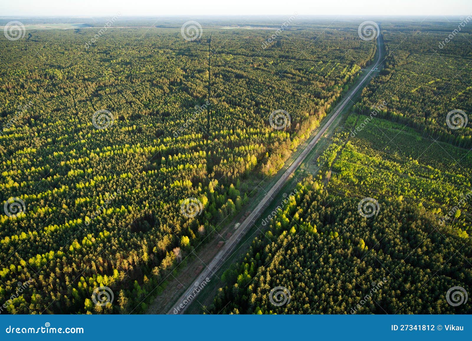 Aerial View of Lithuanian Forest Stock Photo - Image of spring ...