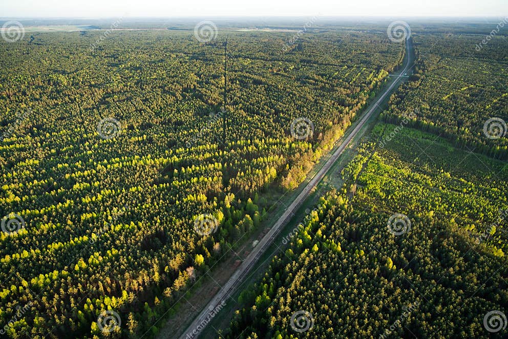 Aerial View of Lithuanian Forest Stock Photo - Image of spring ...