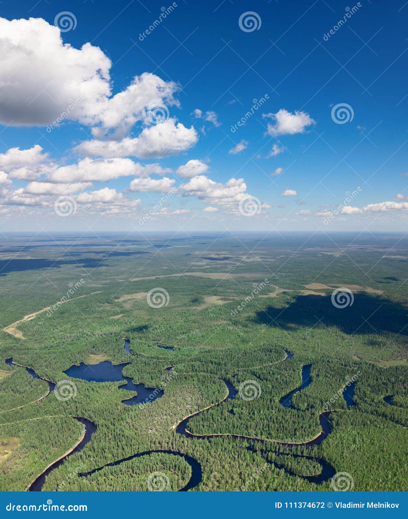 Forest plain with river stock photo. Image of outdoors - 111374672