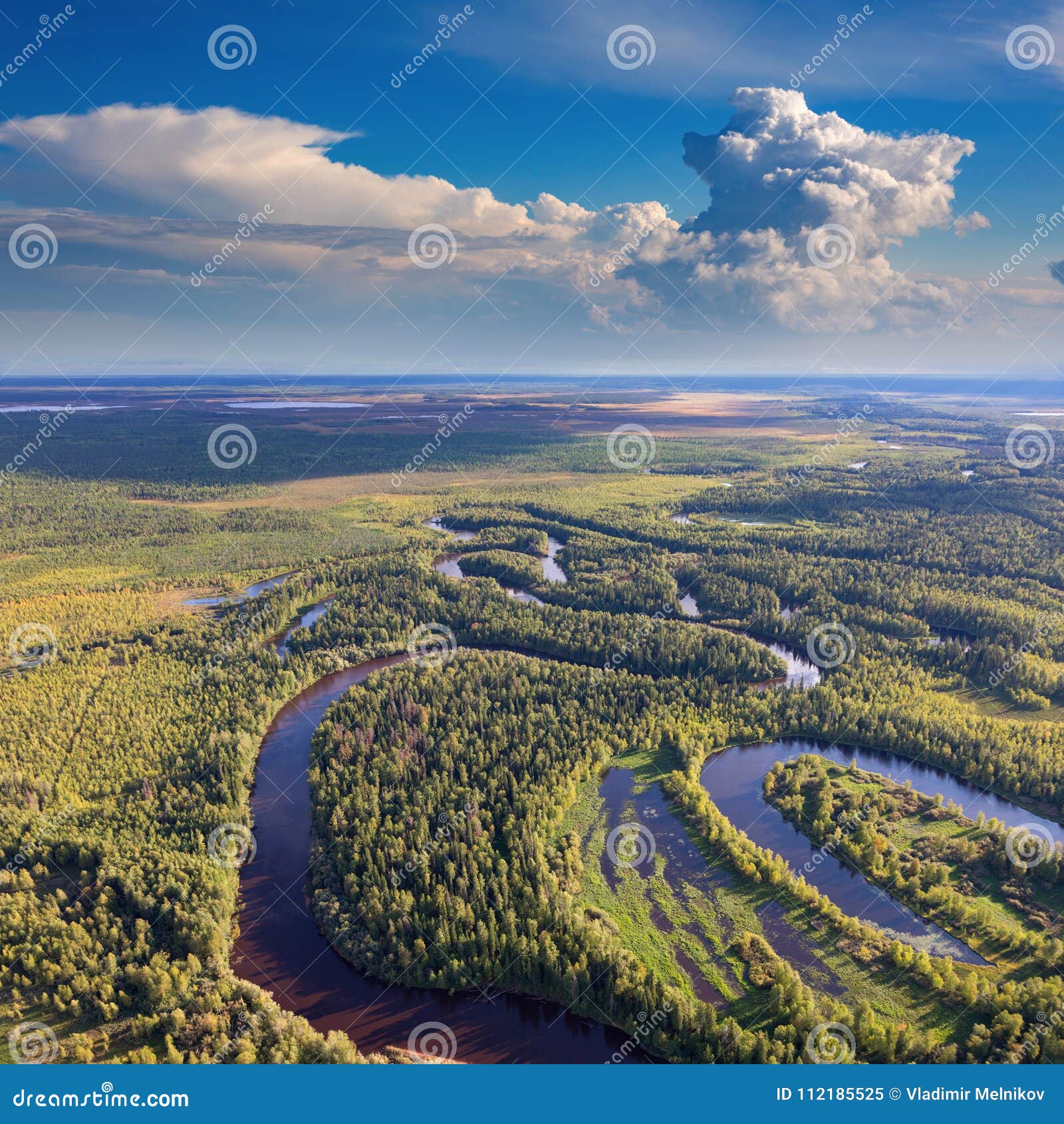 Forest plain with river stock image. Image of area, summer - 112185525