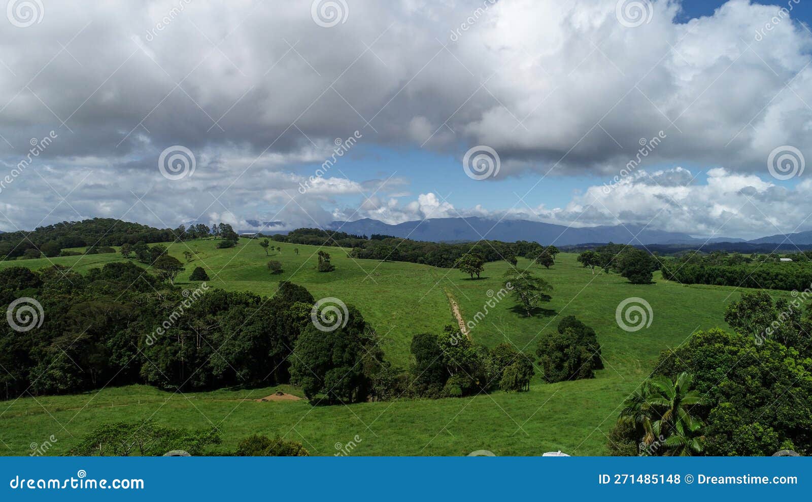 Aerial View of Lush Green Fields with a Mountain Backdrop Stock Photo ...