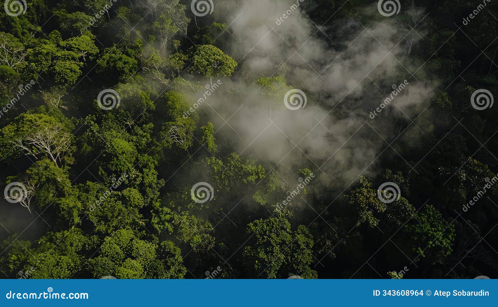 Aerial View of a Lush Rainforest with Mist and Clouds Rolling through ...