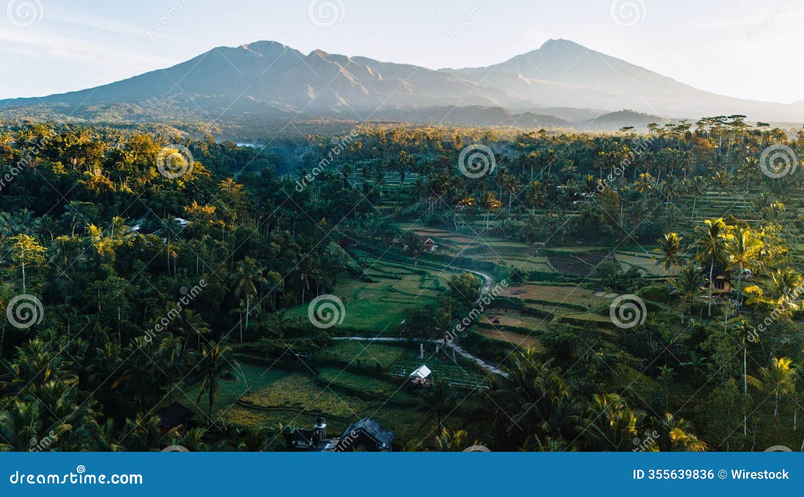 Aerial View of Lush Tropical Forest and Rice Fields in Lombok Stock ...