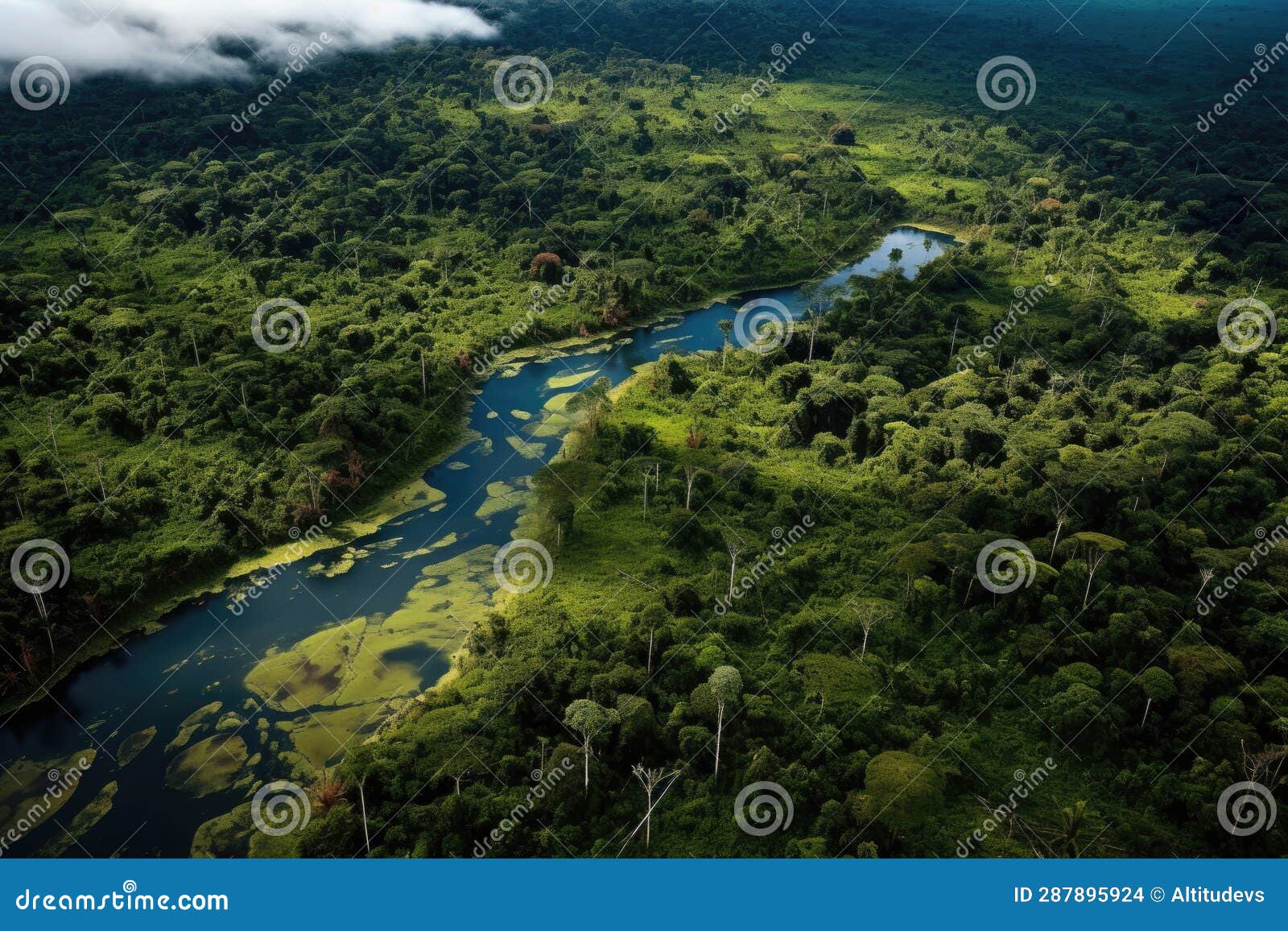 Aerial View of Lush, Untouched Rainforest Landscape Stock Photo - Image ...