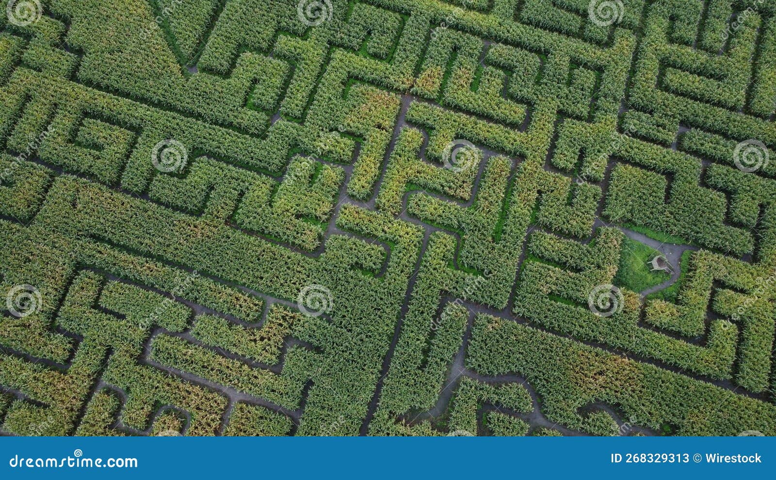 Aerial view of a maze stock image. Image of maze, round - 268329313