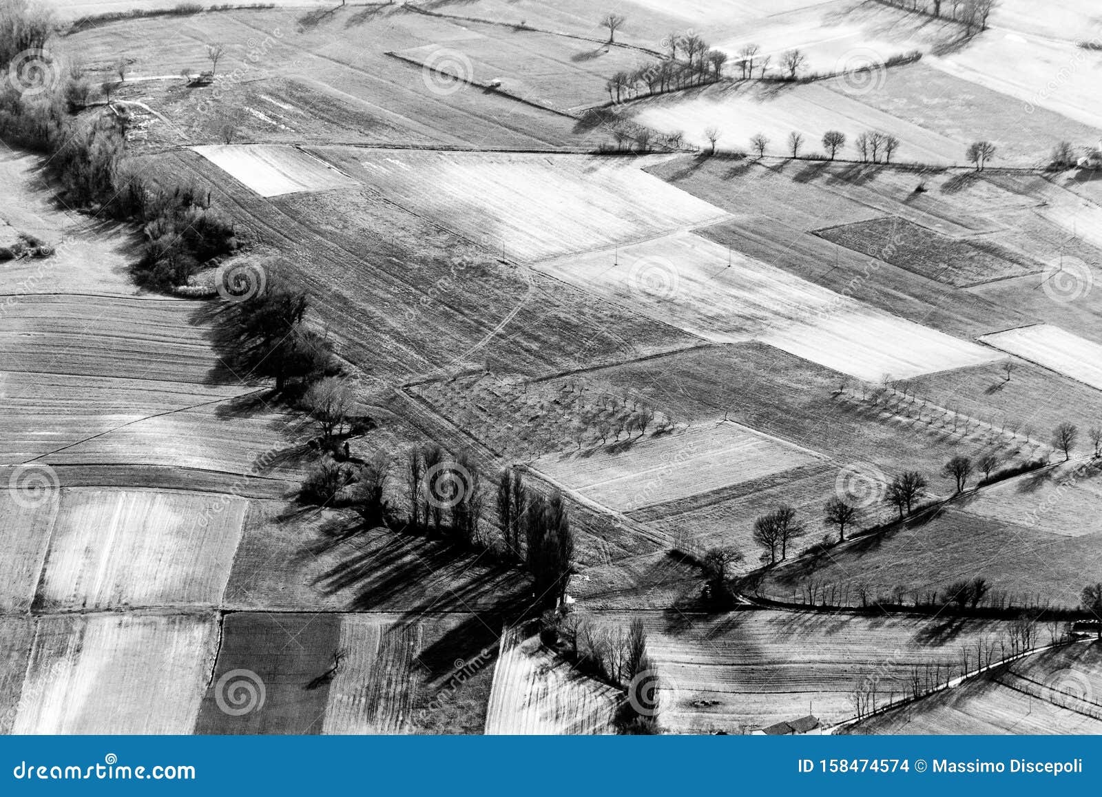 Aerial View of Meadows and Trees with Their Shadows Stock Photo - Image ...