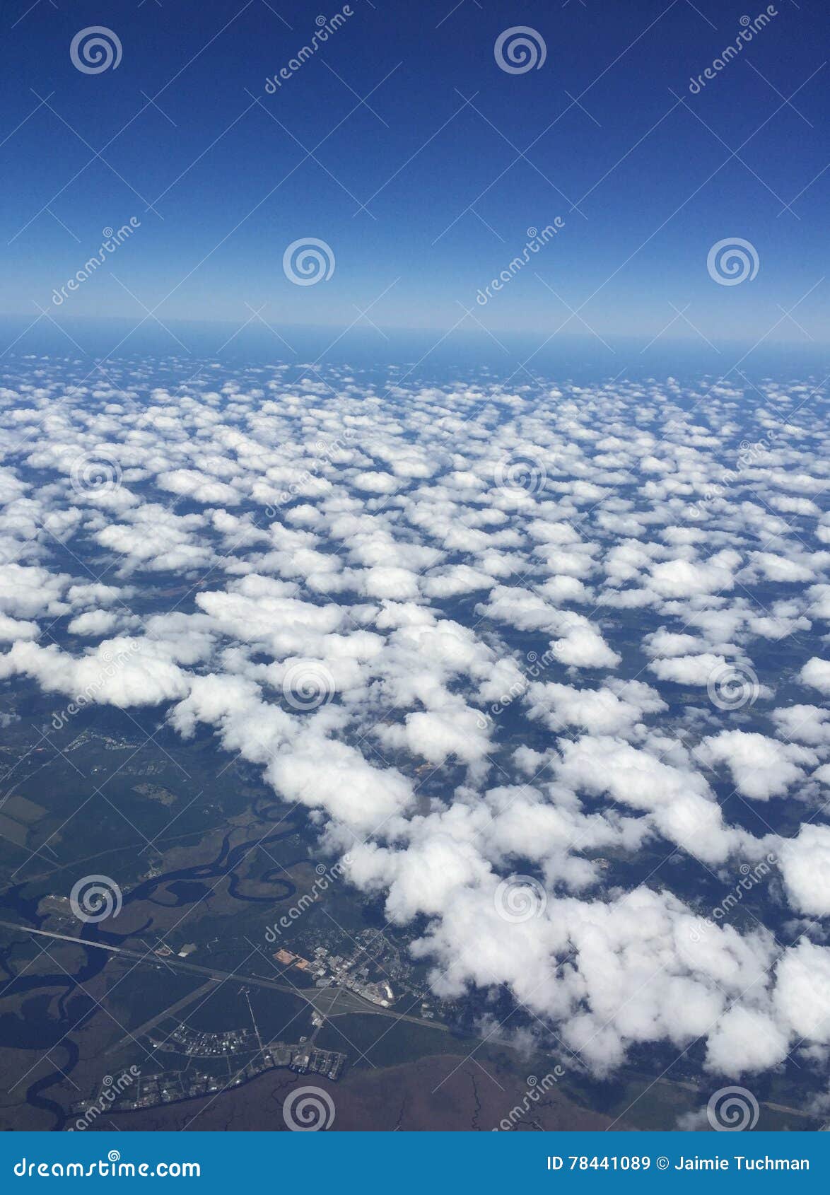 Mississippi Delta Birds Stock Photos - Free & Royalty-Free Stock Photos ...