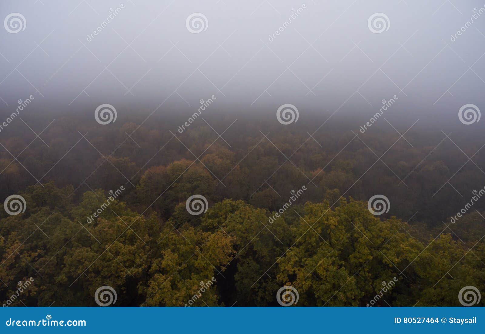 Aerial View. Morning Fog Over the Forest Stock Photo - Image of dawn ...