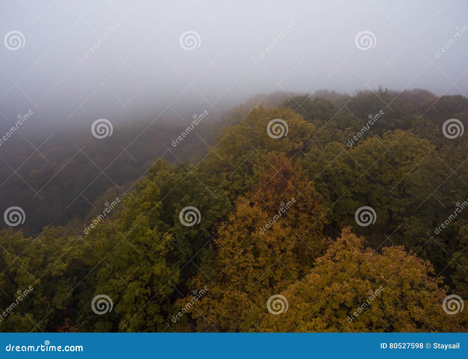 Aerial View. Morning Fog Over the Forest Stock Photo - Image of foggy ...