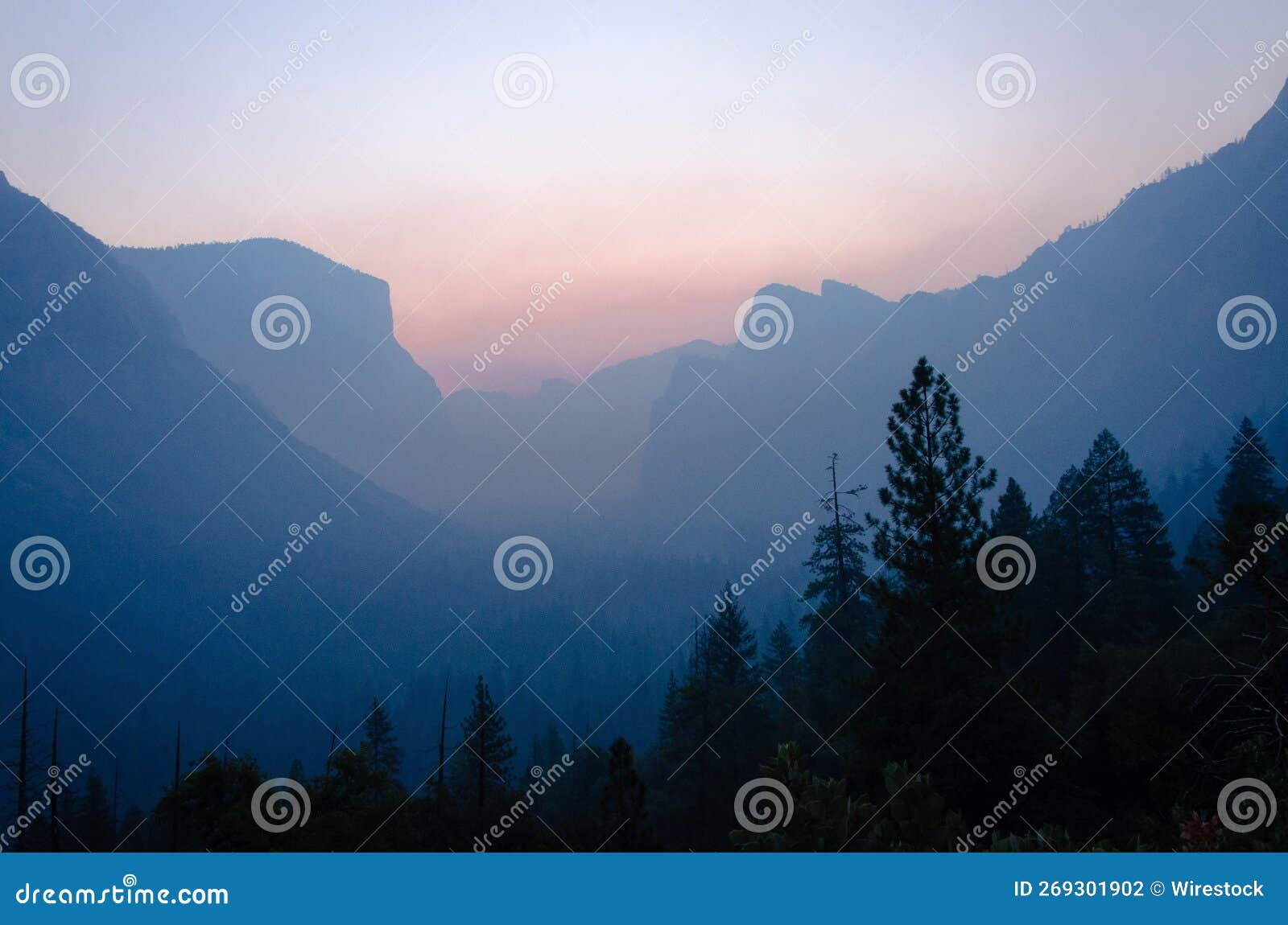 Aerial View of Mountain Landscape with Dense Trees during Sunset Stock ...