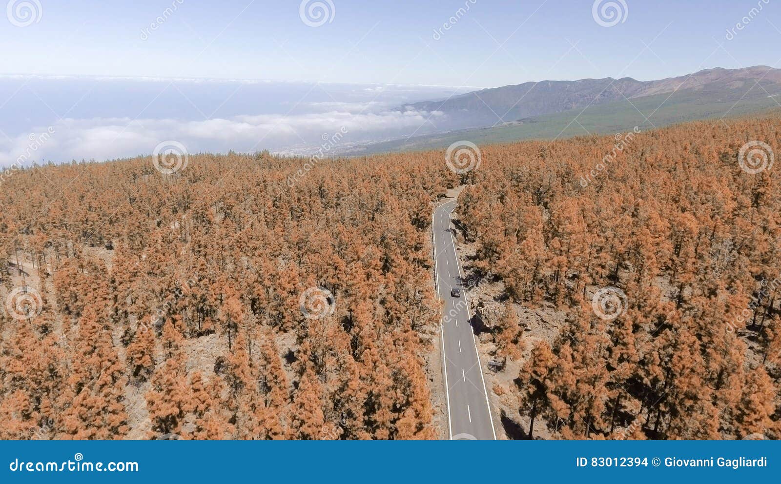 Aerial View of Mountain Road through Trees Stock Photo - Image of ...