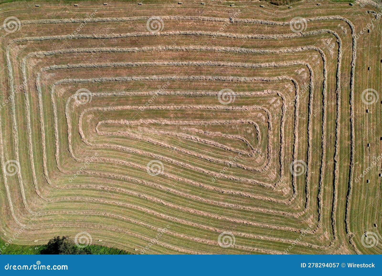 Aerial View of Mowed and Raked Hay Fields - Top View Stock Image ...