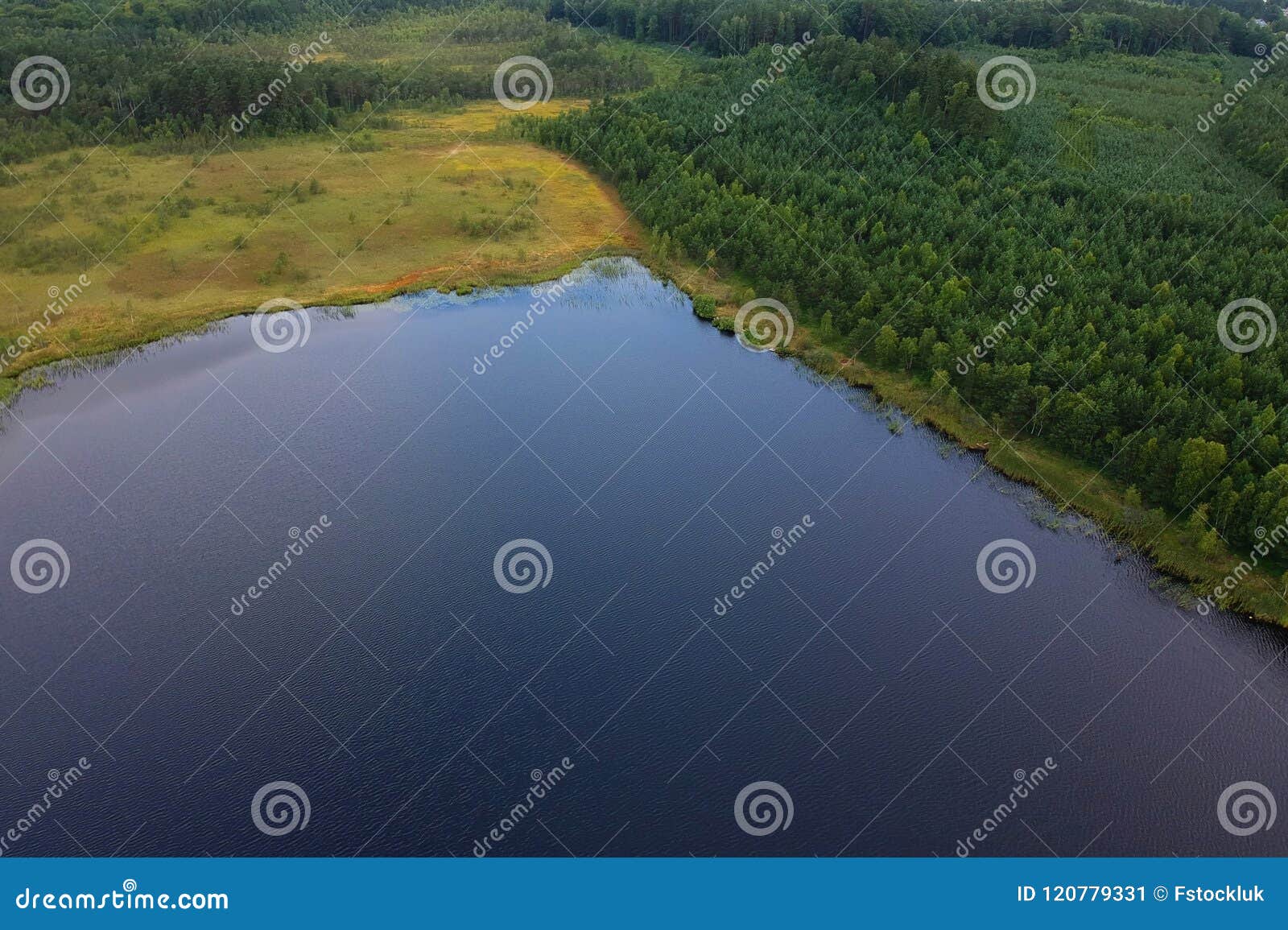 Aerial View on Mud Lake Surface, Forest and Shore Stock Image - Image ...