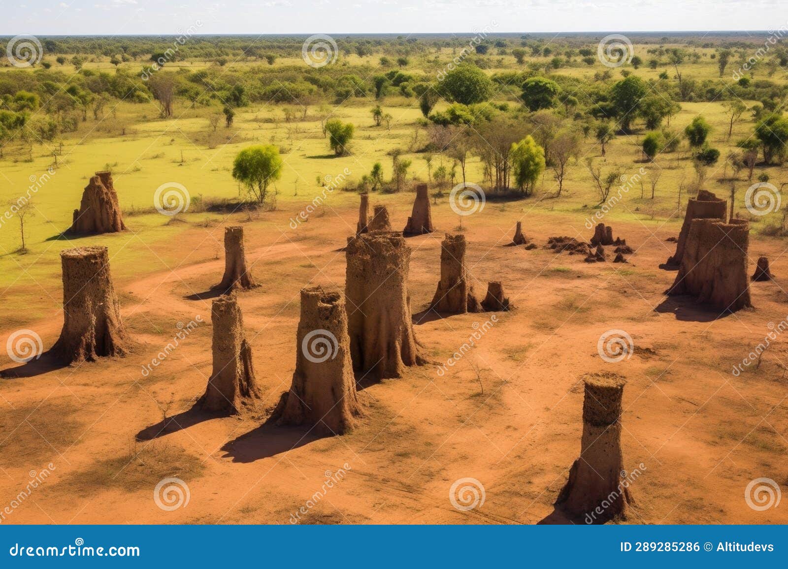 Termite Mounds Ventilation Holes In Various Shapes Stock Photography ...