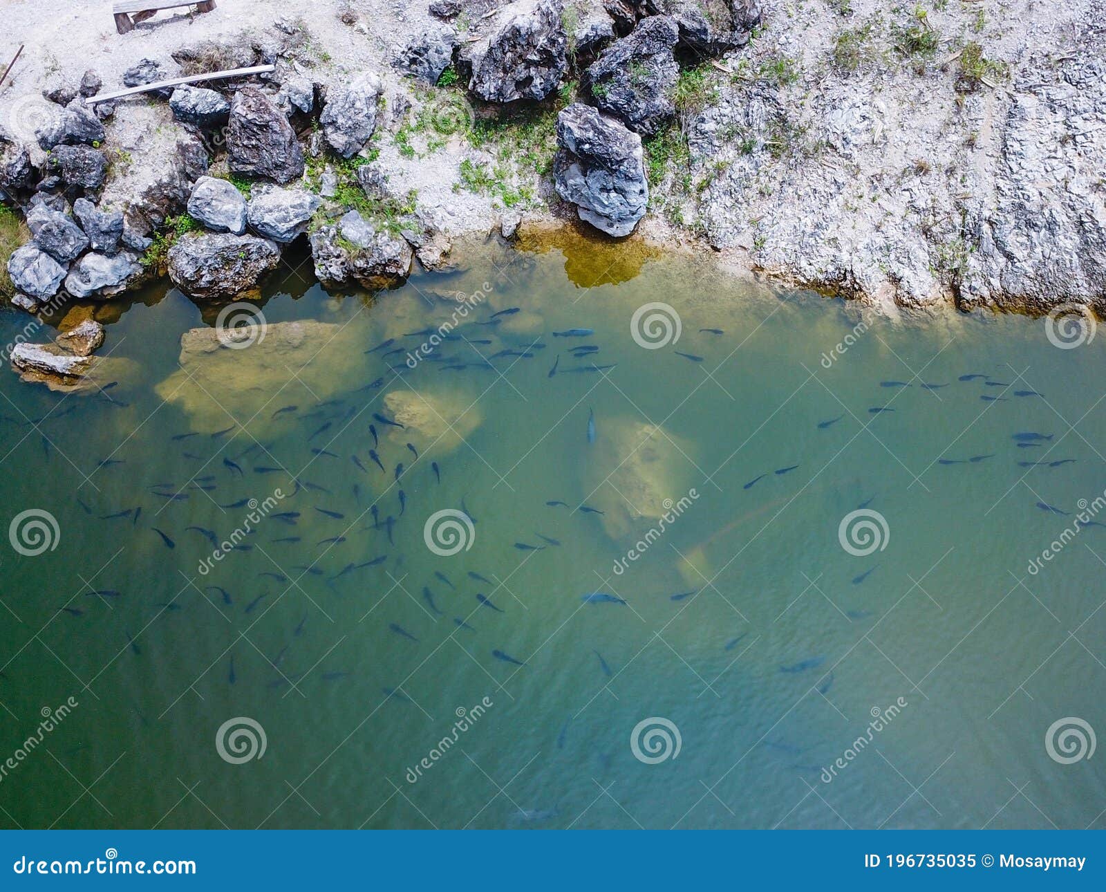 Aerial View of Natural Fish Pond Stock Image - Image of thammarat, rock ...