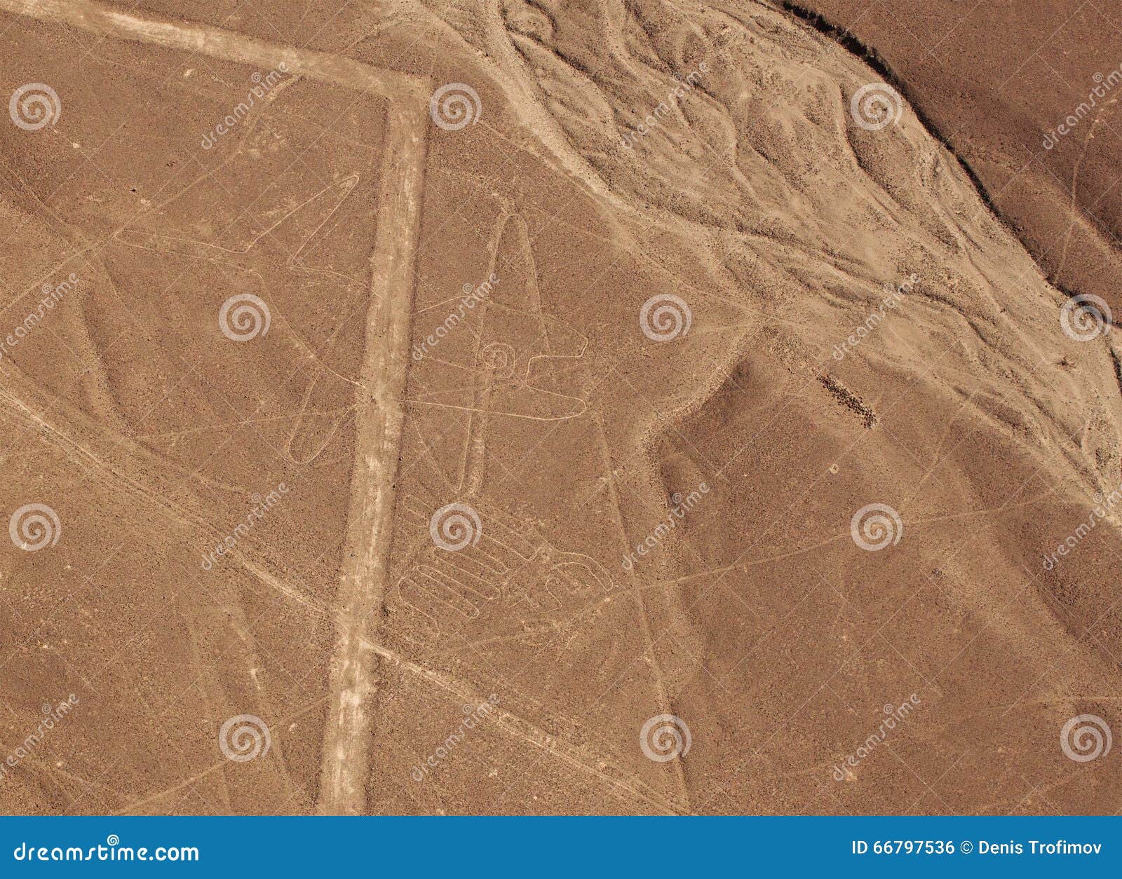 Aerial View of the Nazca Lines - Whale Stock Photo - Image of culture ...