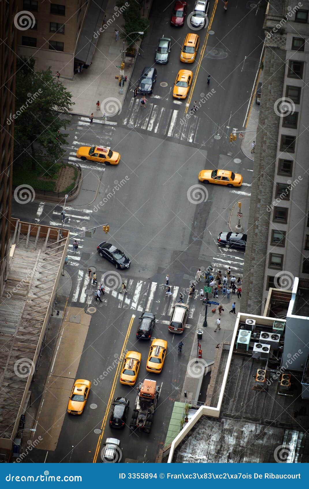 City Street Top View