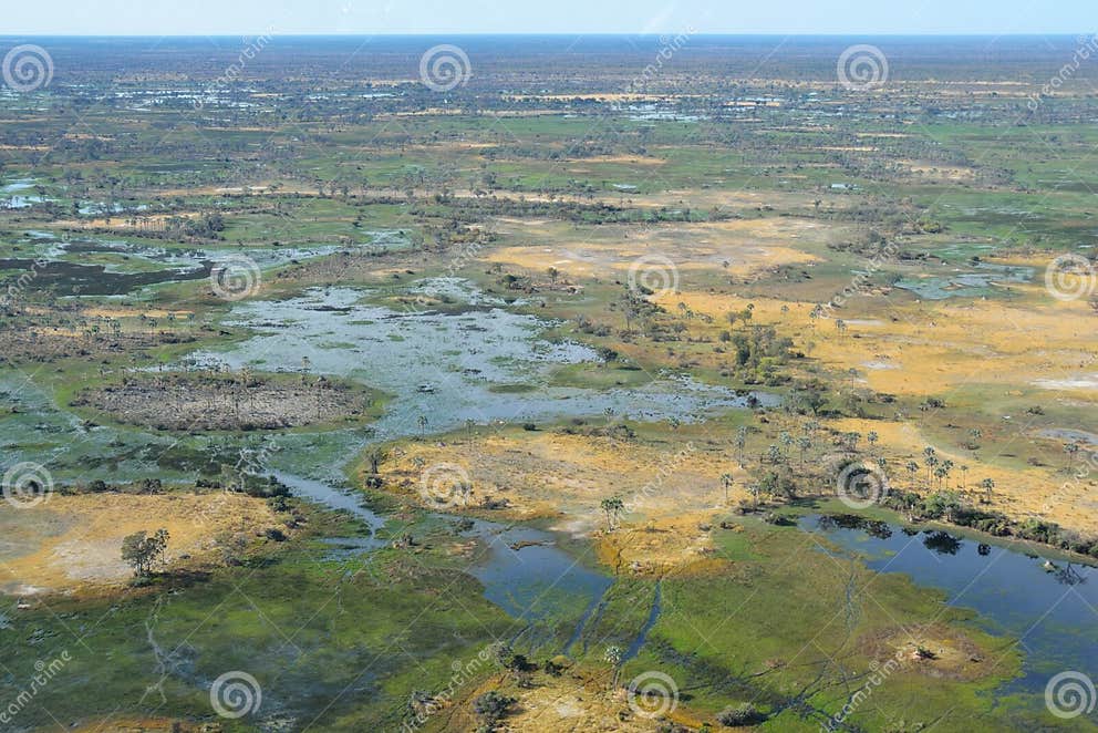 Aerial View of the Okavango Delta, Botswana Stock Image - Image of ...