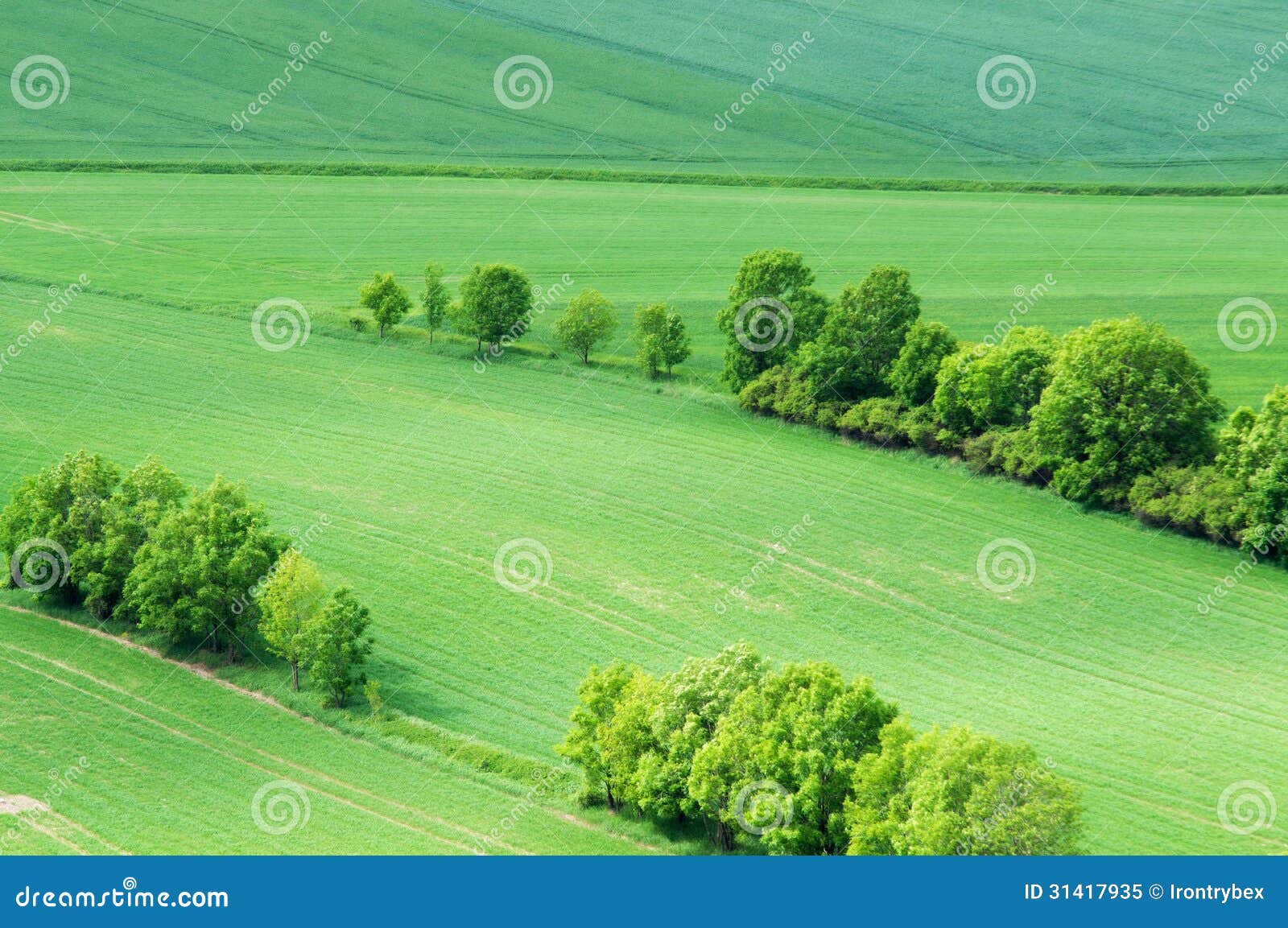Aerial view over field stock image. Image of green, nature - 31417935
