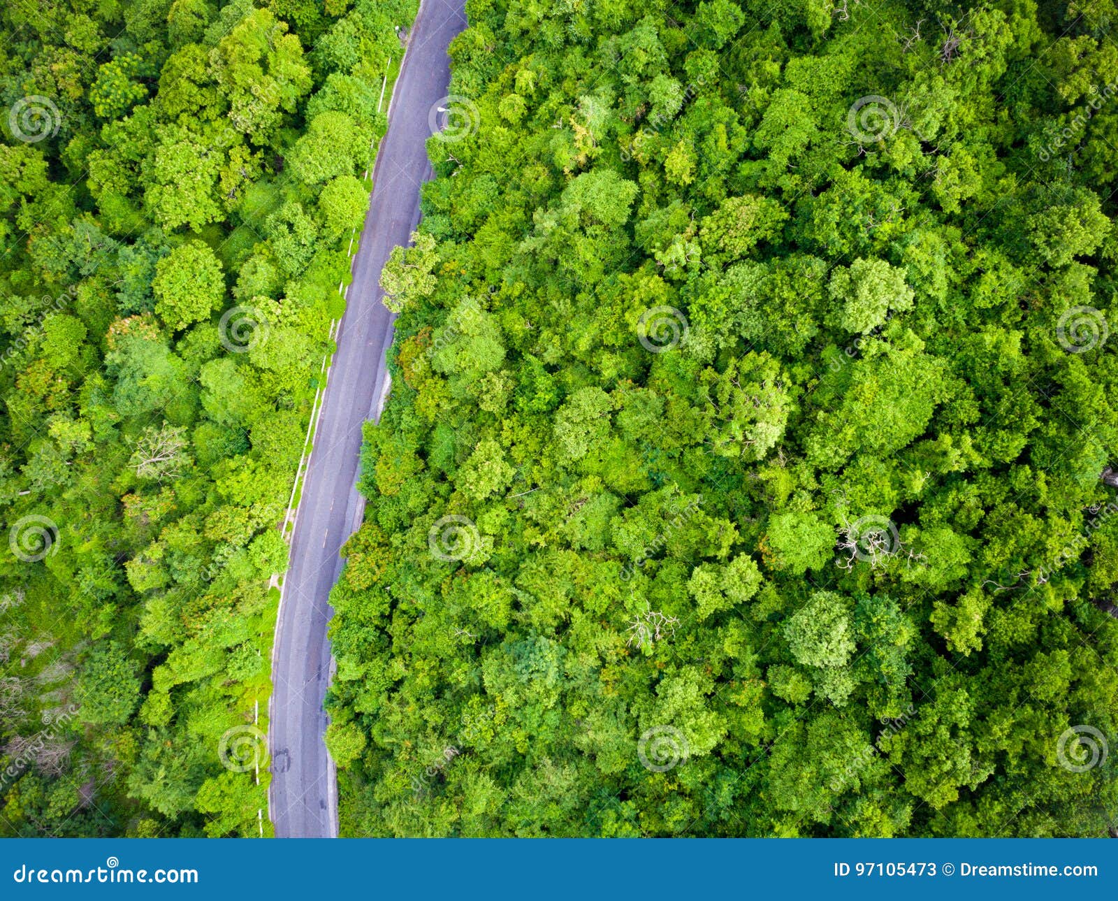 Aerial View Over Forest Road Landscape. Stock Image - Image of ...