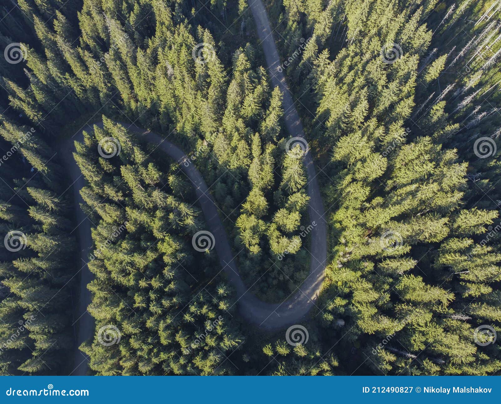Aerial View Over Mountain Road Going through Forest Landscape Stock ...