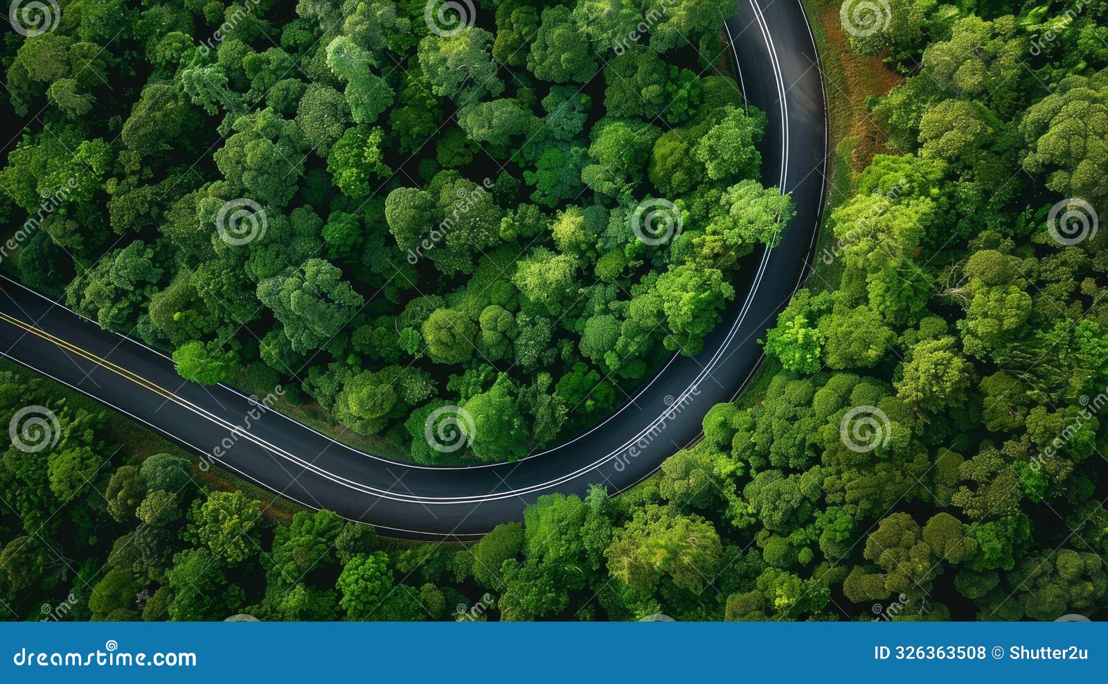 Aerial View Overhead Green Forest a Curved Highway Stock Illustration ...
