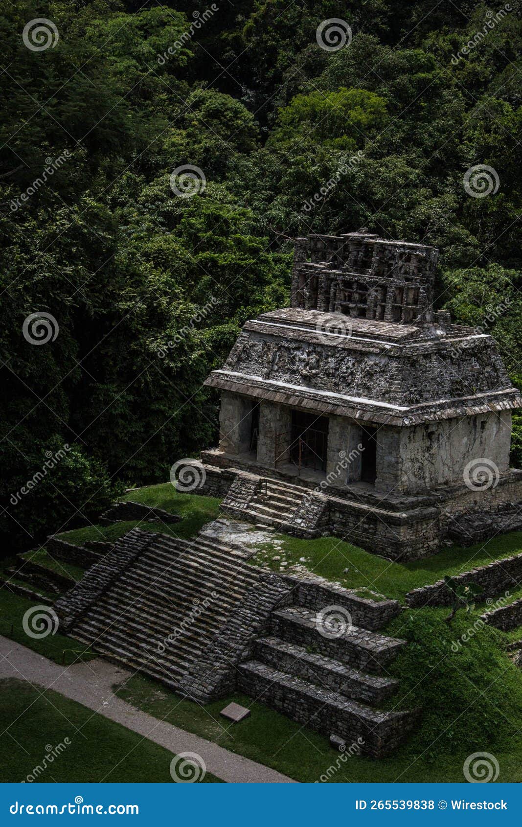 Aerial View of Palenque Temple in Dense Greenery Stock Photo - Image of ...