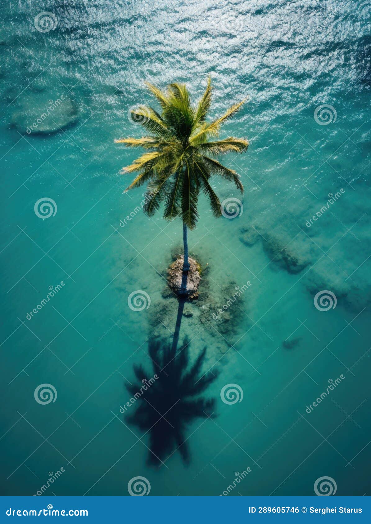 An Aerial View of a Palm Tree on an Tiny Island. AI Stock Photo - Image ...