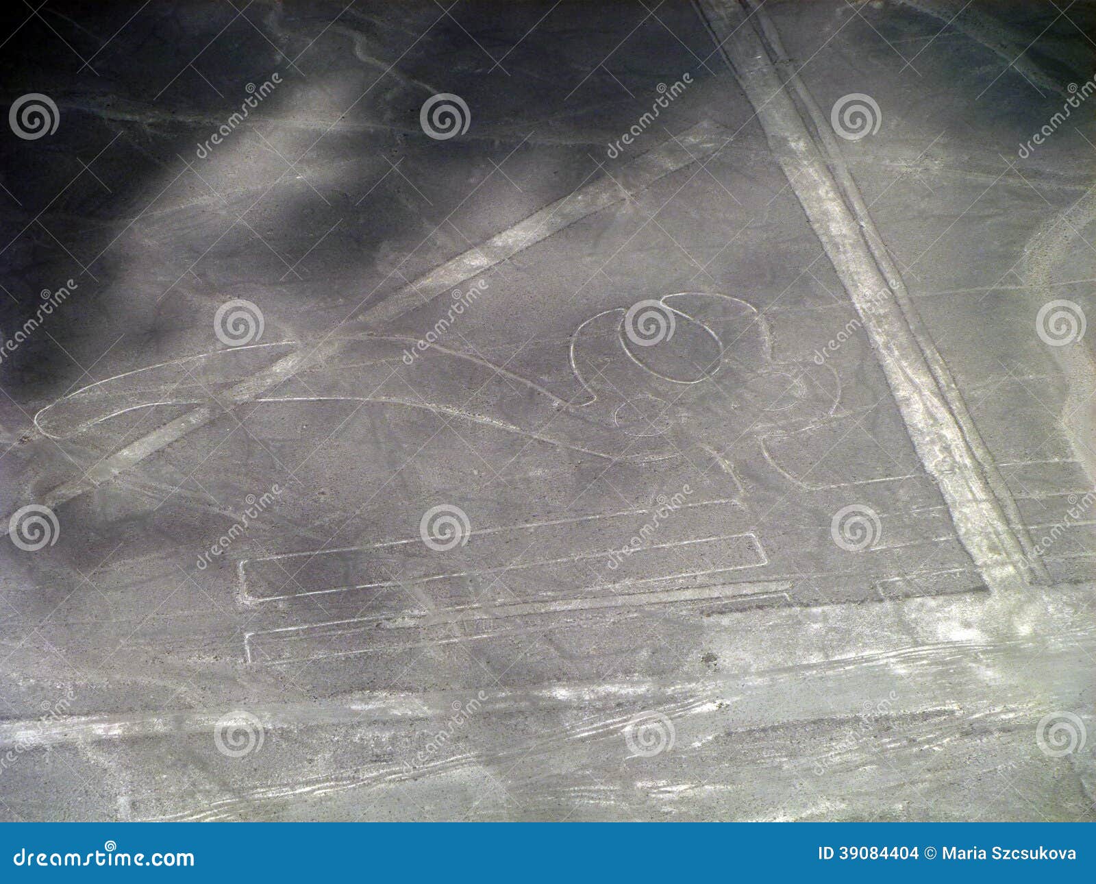 Aerial View of Parrot, Nazca Lines, Peru Stock Photo - Image of sunset ...