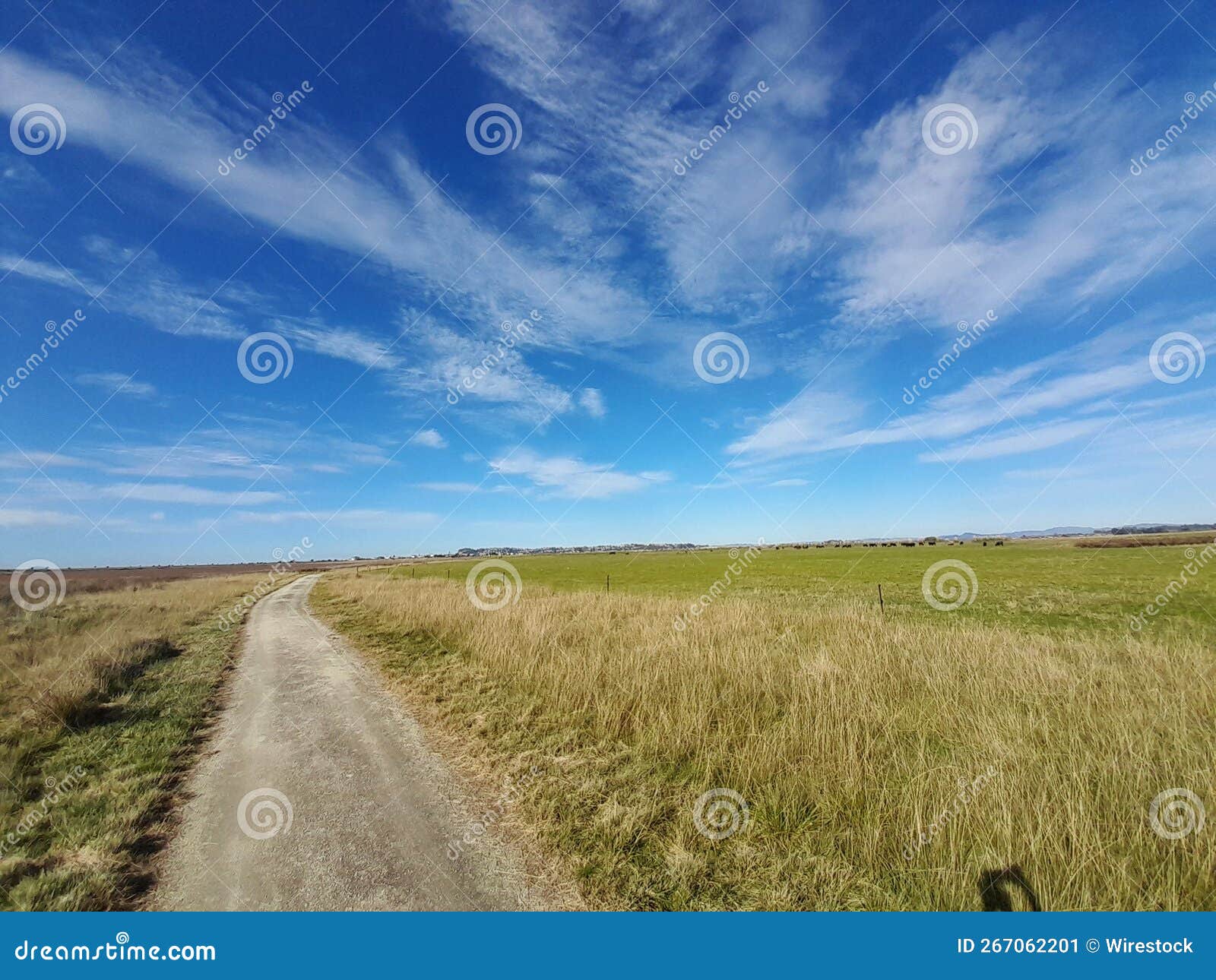 Aerial View of Path in Greenery Field Stock Image - Image of aerial ...
