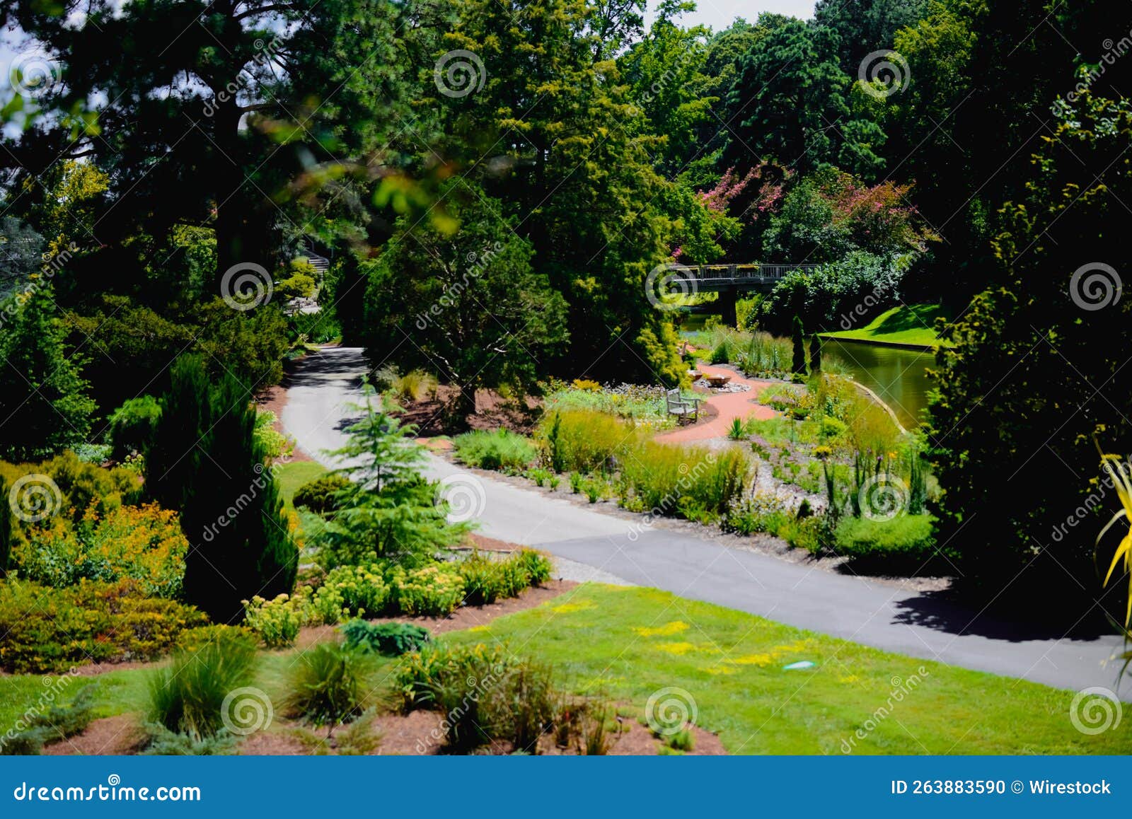 Aerial View of Path Surrounded by Dense Trees in Park Stock Photo ...
