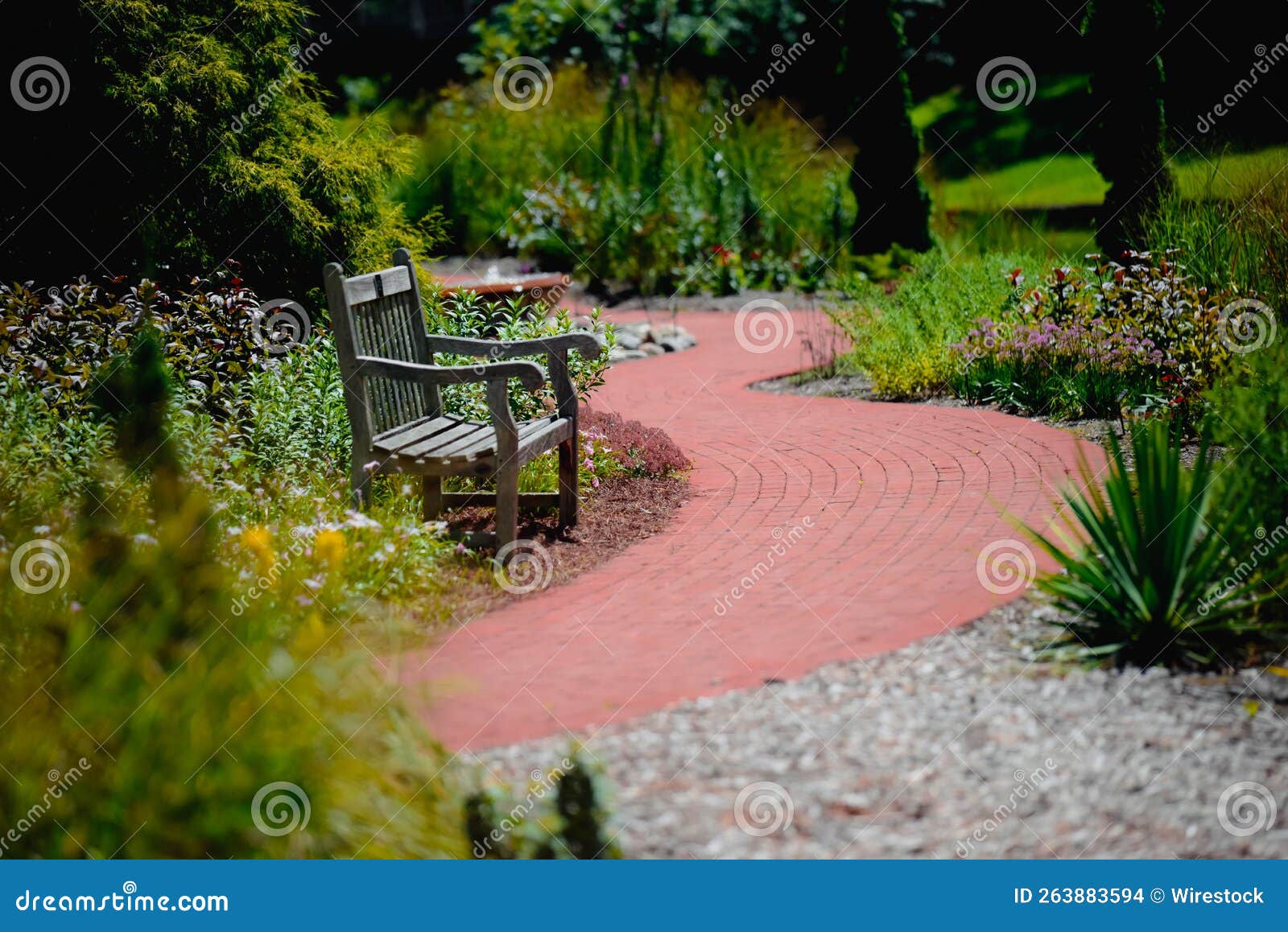 Aerial View of Path Surrounded by Dense Trees in Park Stock Photo ...