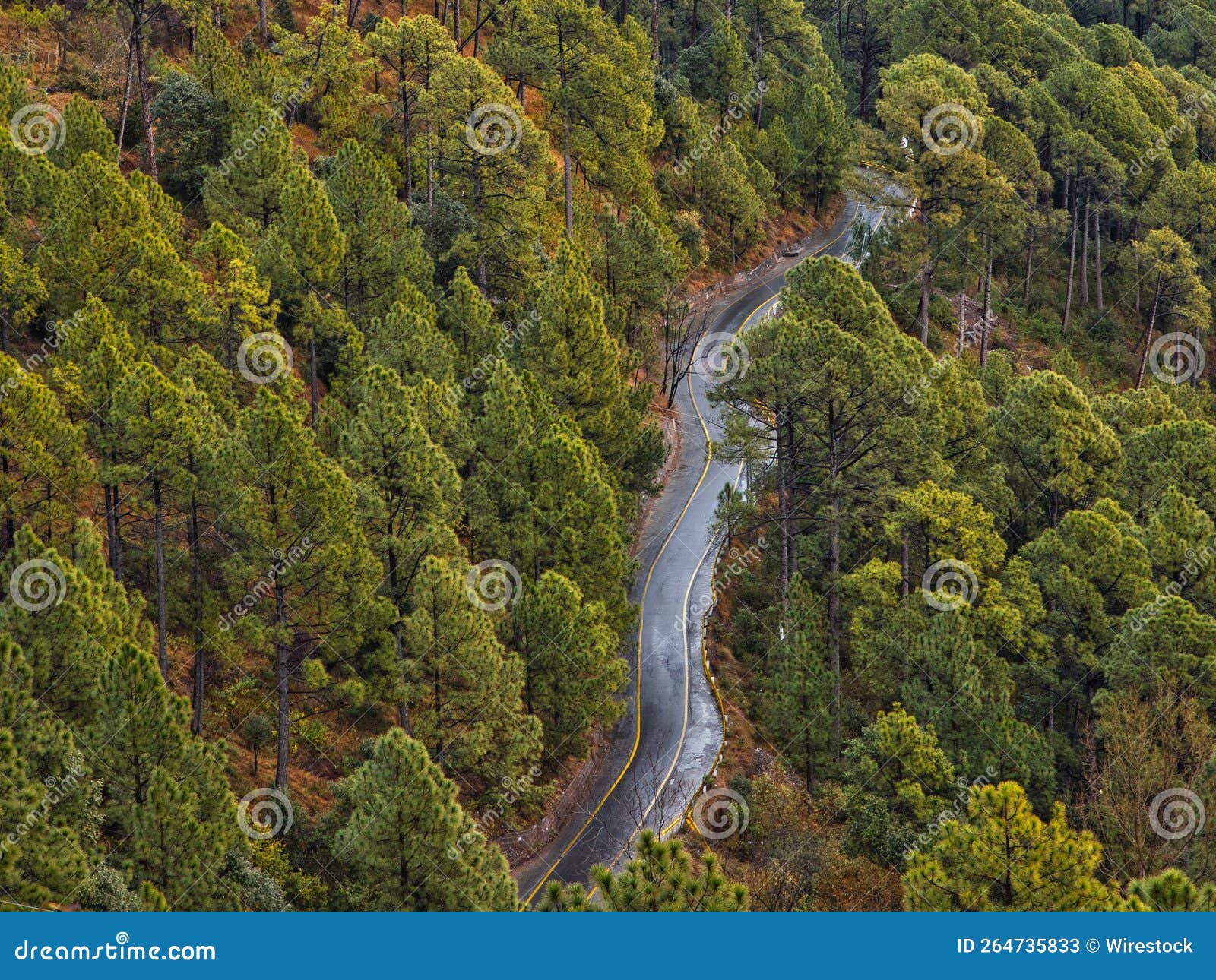 Aerial View of a Pathway in Forests in Murree Expressway Stock Image ...