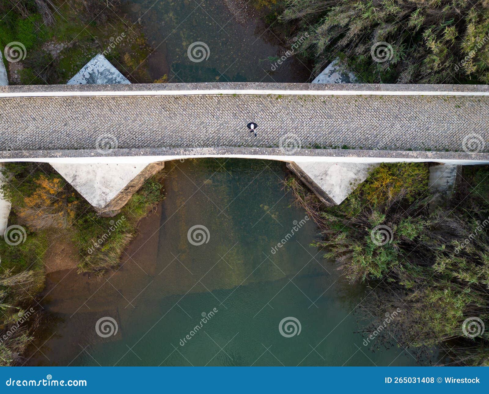 Aerial View of a Person Standing on the Bridge Over the River ...