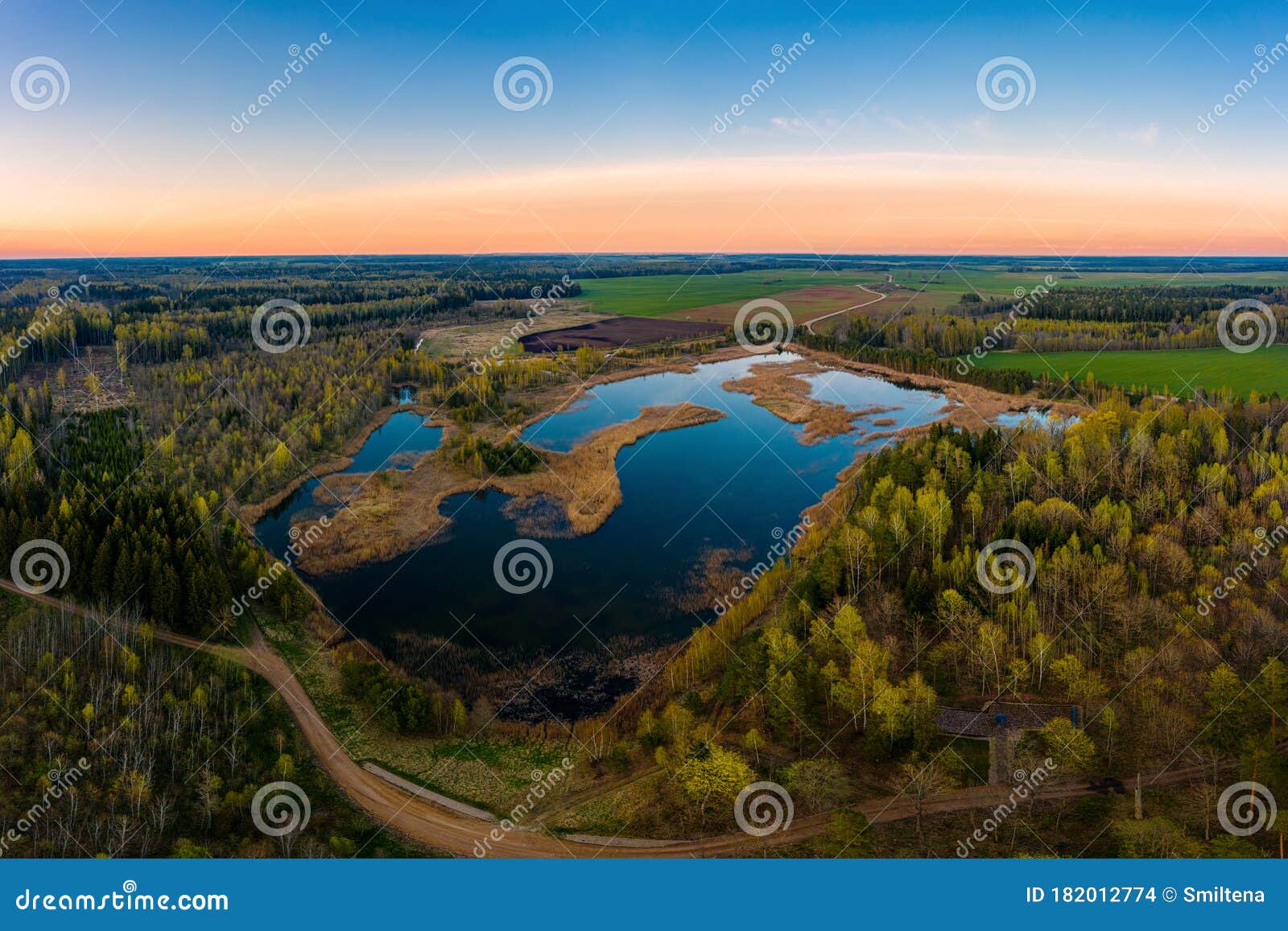 Aerial View of a Pond Surrounded by Forest at Sunset Stock Photo ...
