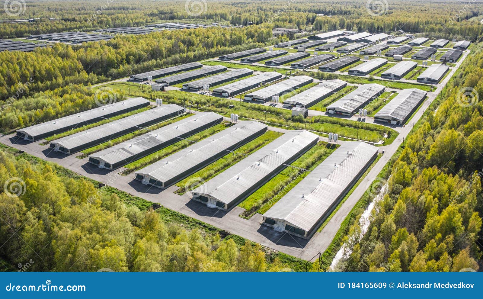 Aerial View of Poultry Farm Stock Image - Image of bird, outdoor: 184165609