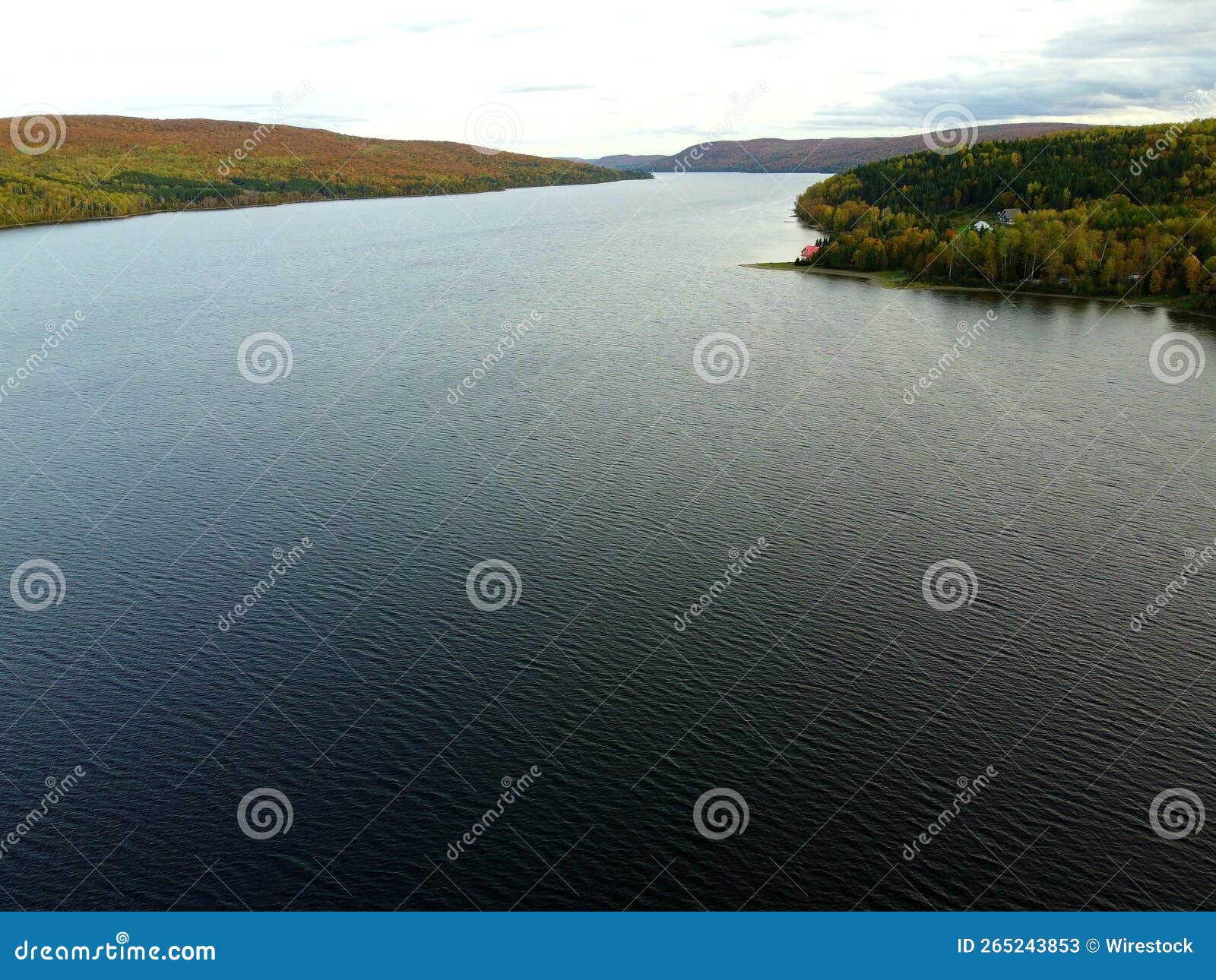 Aerial View of Quebec Lake with Green Trees Stock Image - Image of ...