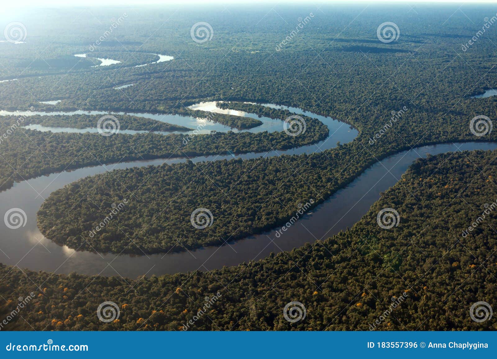Aerial View of the Rainforest and the Amazonas River Stock Photo ...