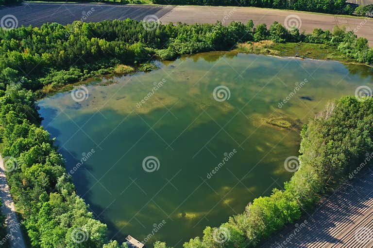 Aerial View of an almost Rectangular Shallow Pond, through Whose Clear ...