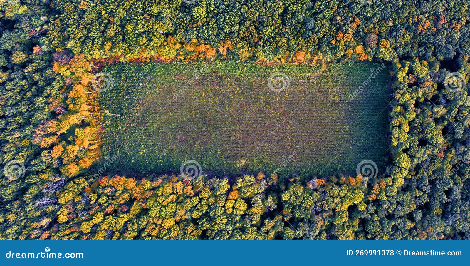 Aerial View of Rectangular Shaped Deforested Area Stock Photo - Image ...